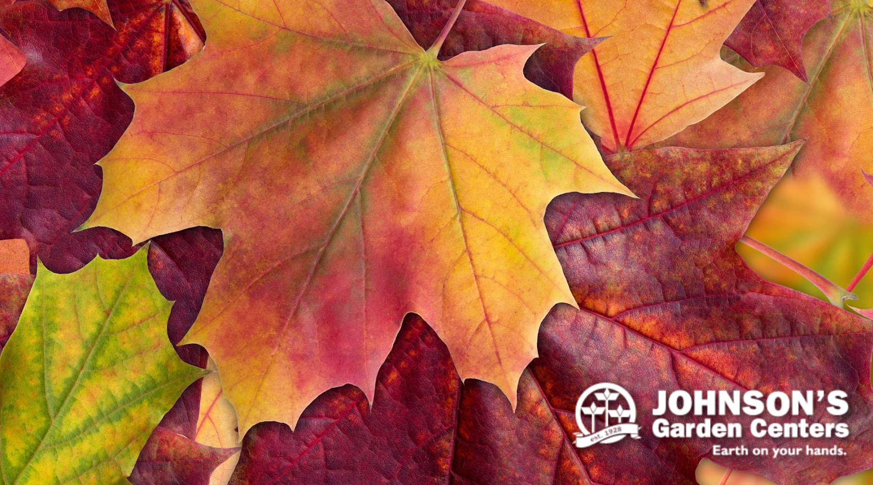 Hello, October. – Johnson's Garden Centers