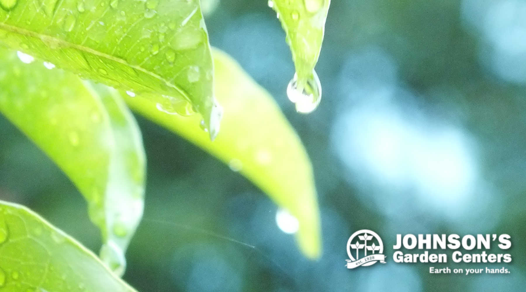 Drink water. Get sunlight. You're basically a plant with more complica ...