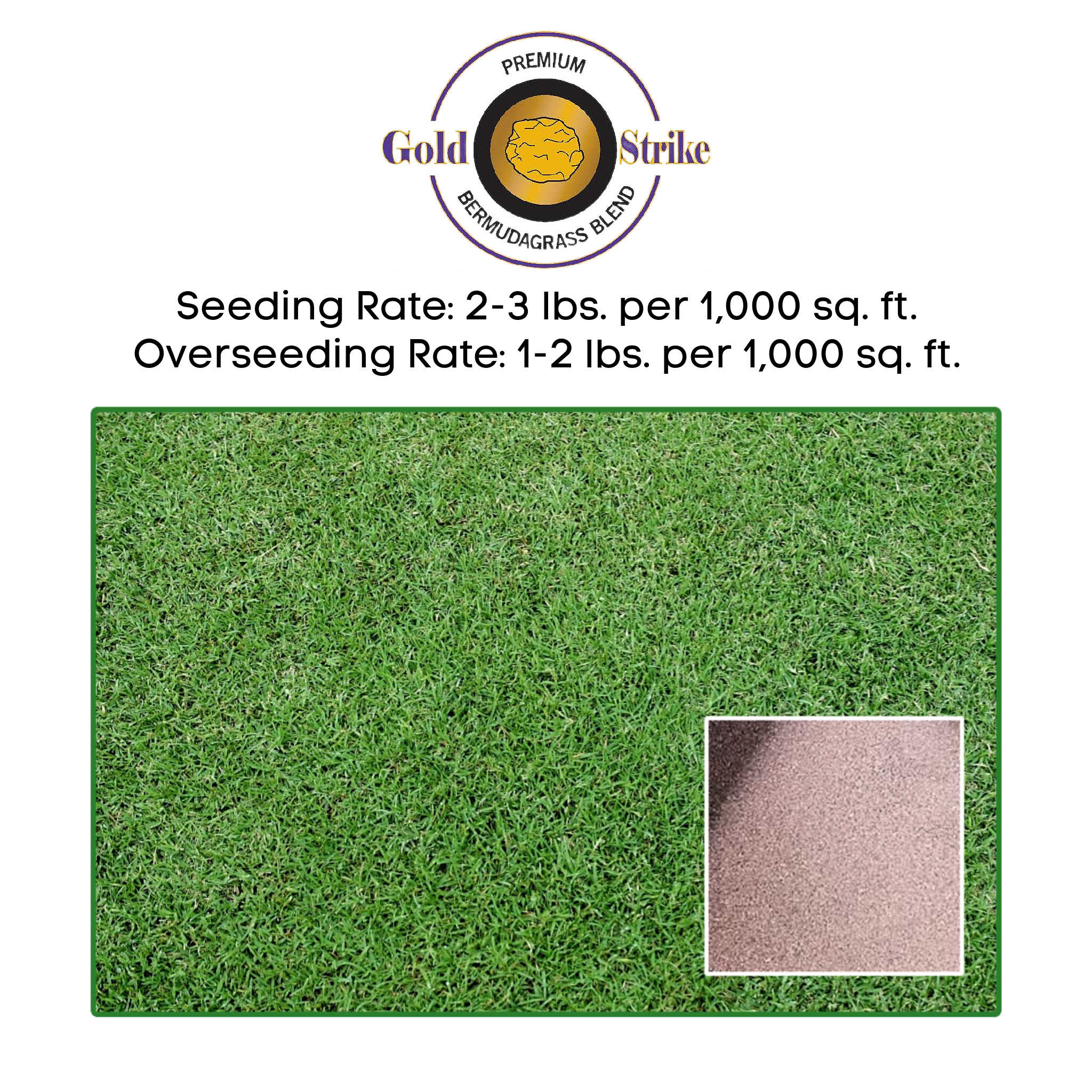 Gold Strike Bermudagrass Blend Grass Seed (2 lb.) – Johnson's Garden ...